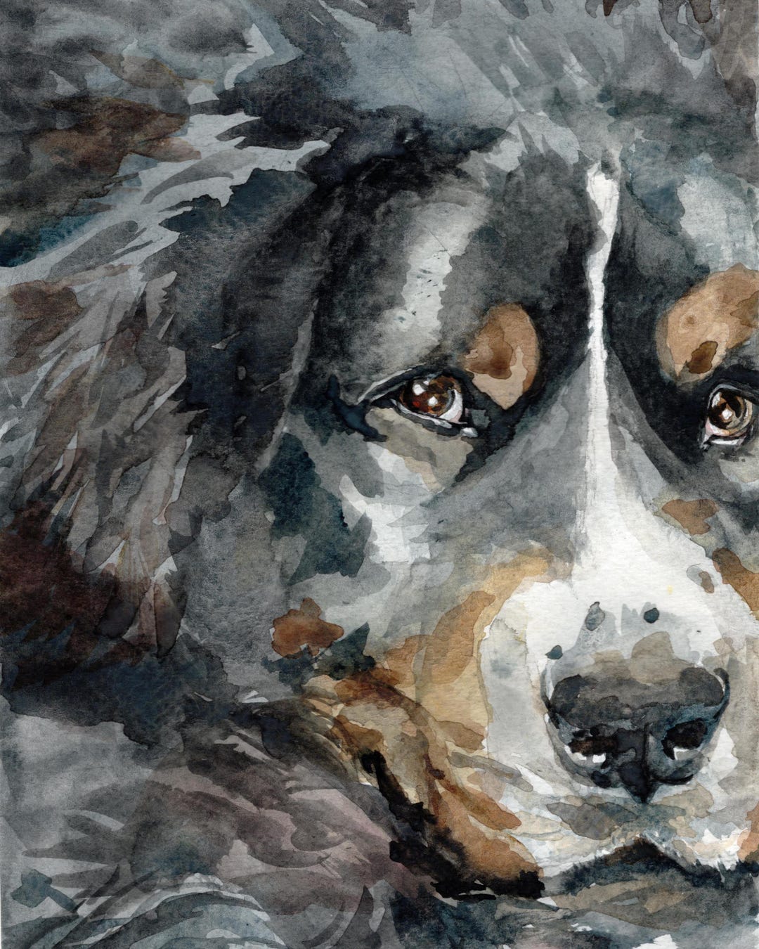 Bernese Mountain Dog Watercolor Painting| Pet Portrait | Dog Lover Art ...