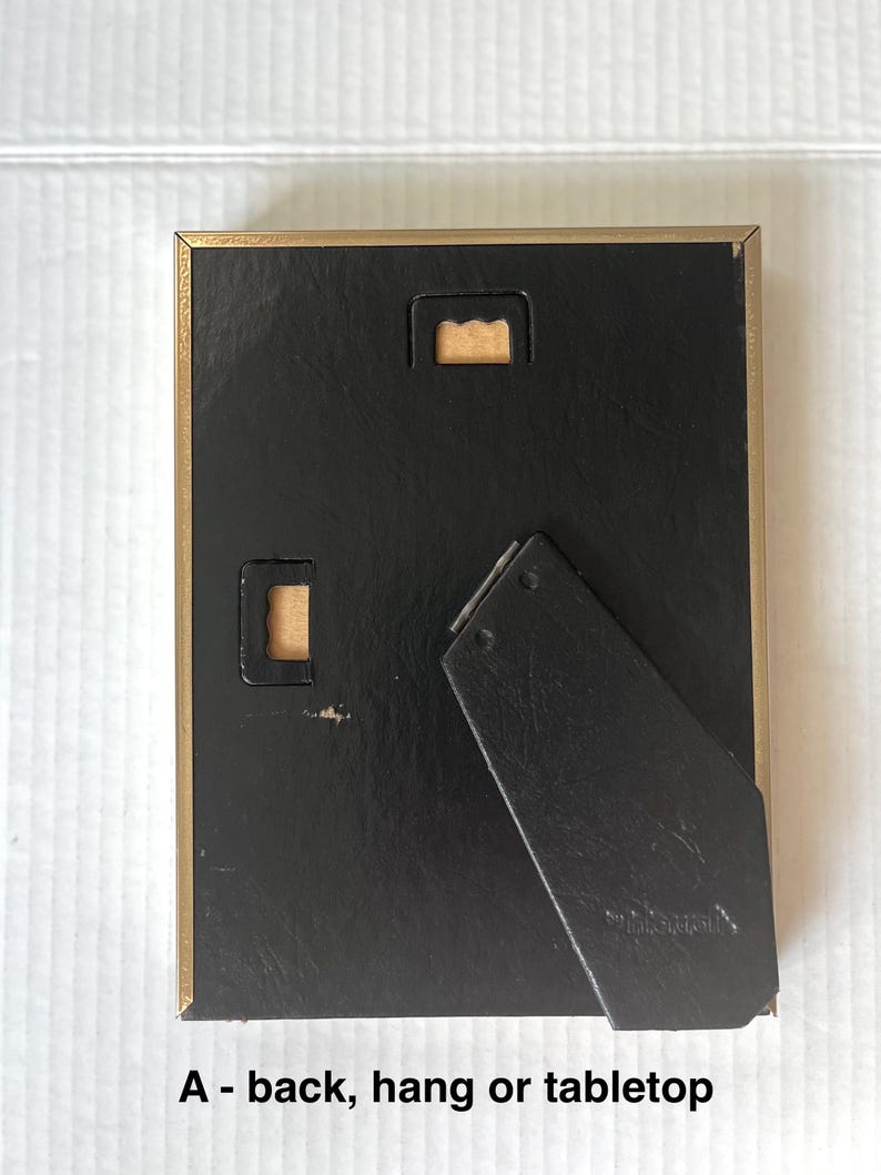 Vintage Bird Art Prints in Gold Tone Frames : Audubon Book Illustration ...