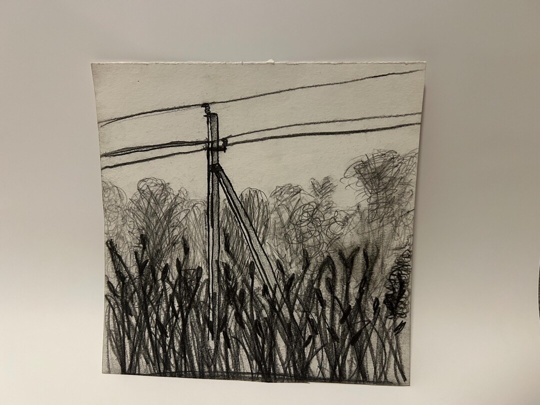 Dessin de la nature au crayon graphite : beaux-arts rustiques sur ...