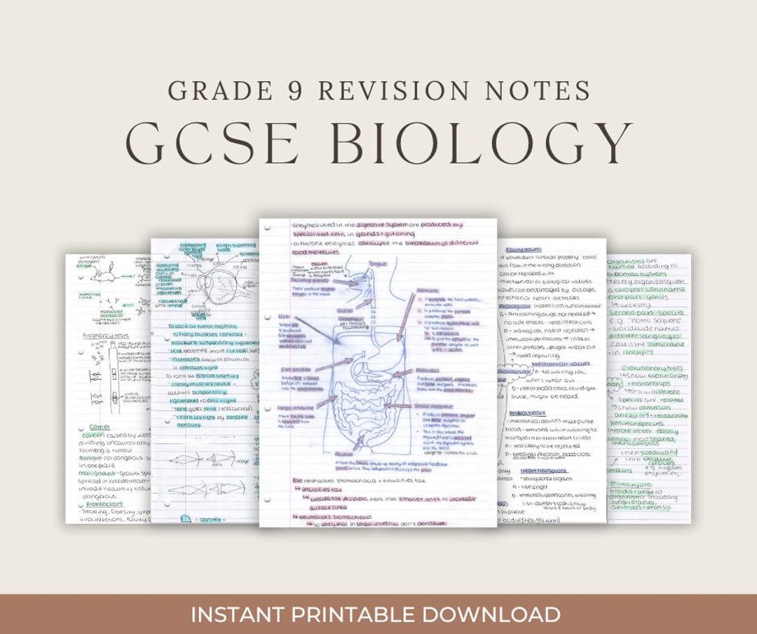 Grade 9 GCSE Biology Complete Revision Notes - Etsy