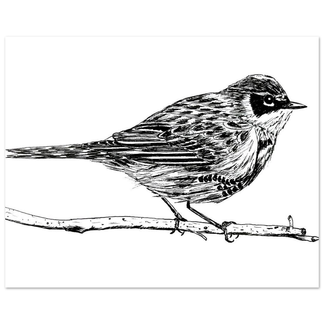 Warbler Bird Print: Semi-glossy Wall Art Poster (8x10 Inch) - Etsy