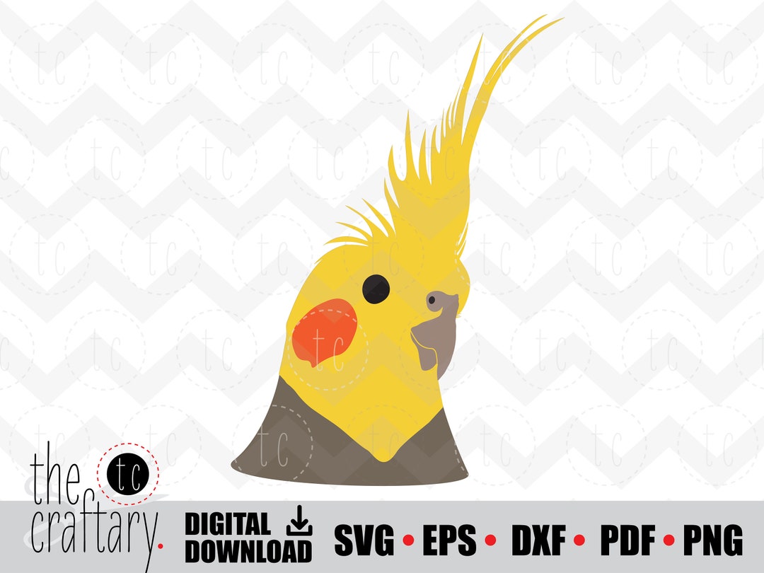Cockatiel | Bird | Parrot | Cockateil | Svg • Eps • Dxf • Pdf • Png - Etsy