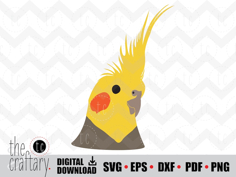 Cockatiel Bird Parrot Cockateil Svg Eps Dxf Pdf - Etsy