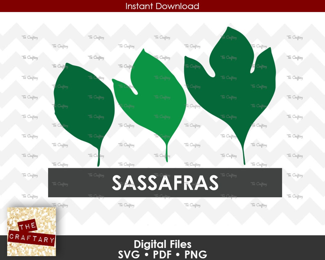 Sassafras Leaves | Tree Leaf | SVG File - Etsy