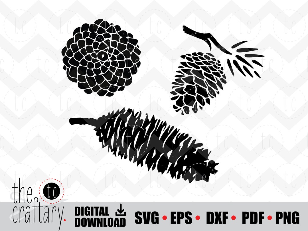 Pinecones | Pine Cones | Conifer | Evergreen | Fall Pine Tree | Svg ...