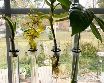 Propagation Tubes - Etsy