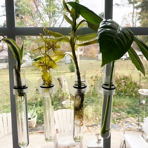 Propagation Station - Etsy