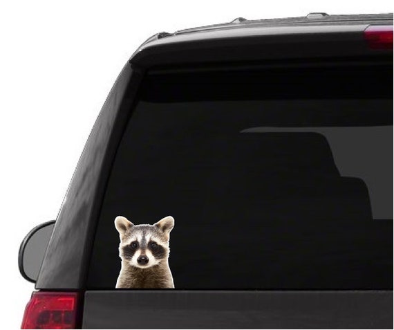 Raccoon SET OF 2 Funny Sticker Paw Print Car Truck Sticker | Etsy