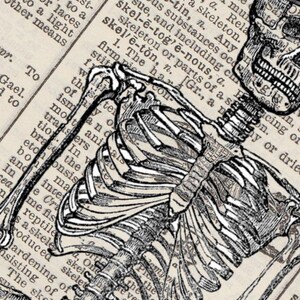 Dictionary Art Print - Skeleton - 8x10 - Etsy