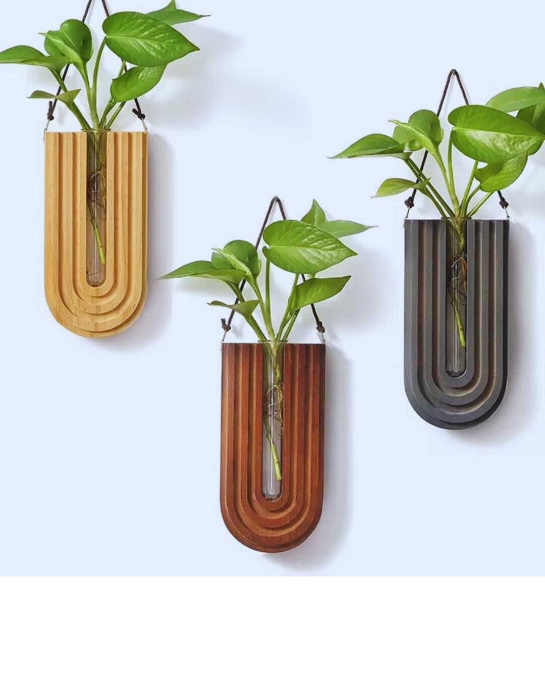 Simple Wooden Wall Mounted Flower Vase Hanging Hydroponic Plant Pot ...