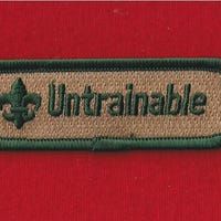 Boy Scout UNIQUE Patches - Etsy
