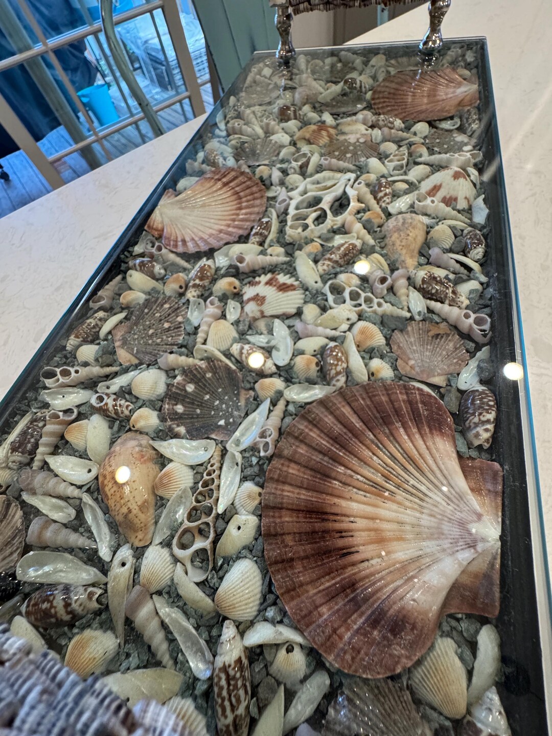 Shell Handmade Serving Tray | Rectangular Glass 17x7.5x4”. Unique ...