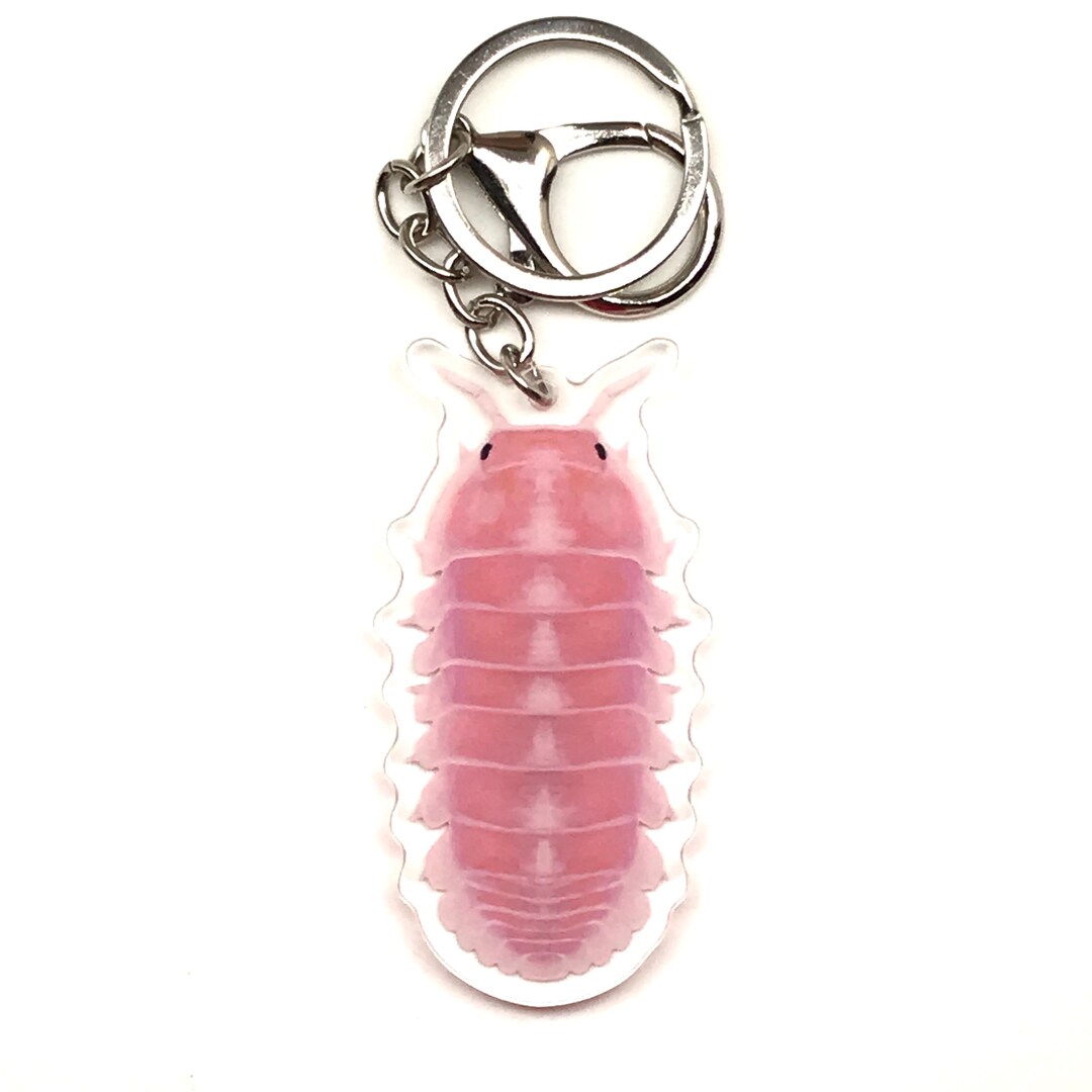 Cherry Blossom Isopod Keychain, Cubaris Sp. Cherry Blossom Acrylic ...