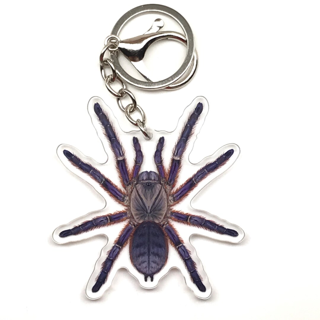 Purple Blaze Tree Tarantula Keychain, Ornithoctoninae Sp. Phan Cay Red ...