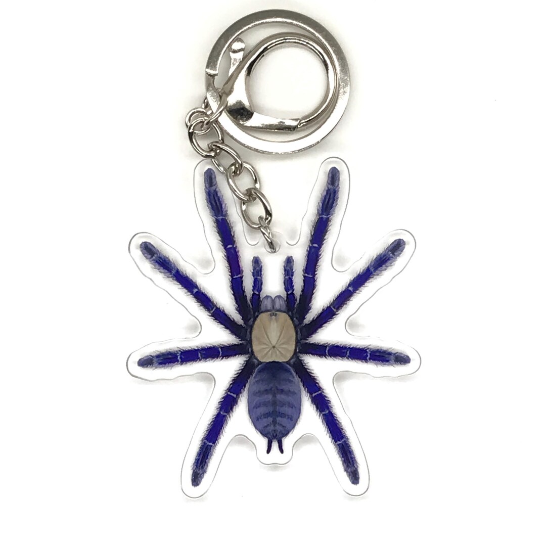 Singapore Blue Tarantula Keychain, Omothymus Violaceopes Acrylic Charm ...