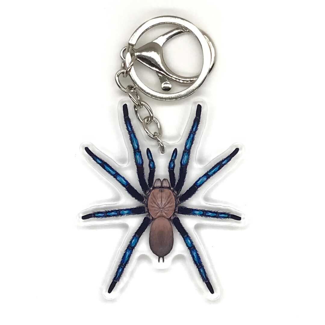 Neon Blue Leg Tarantula Keychain, Birupes Simoroxigorum Acrylic ...
