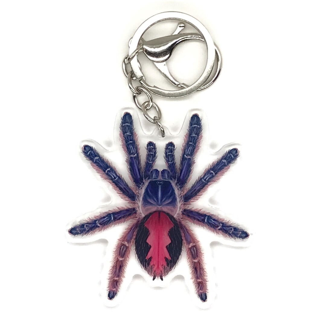 Amma Jewel Tarantula Keychain, Typhochlaena Amma Acrylic Charm - Etsy
