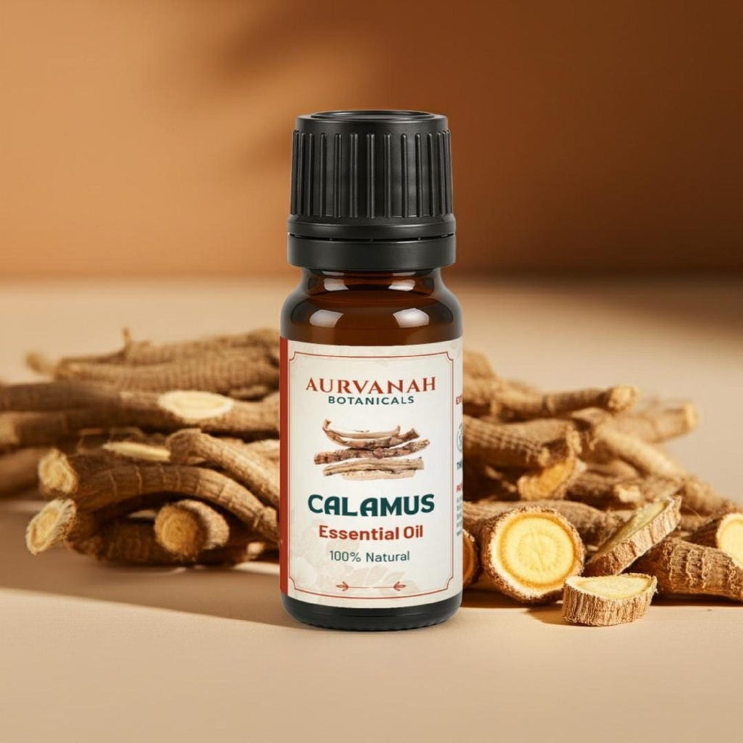 Calamus Root Essential Oil | Earthy Aroma Oil for Aromatherapy, Candle ...