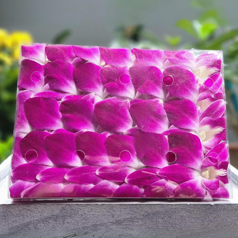 Purple Orchid Cocktail Garnish – 50 Fresh Dendrobium Blooms for Drinks ...