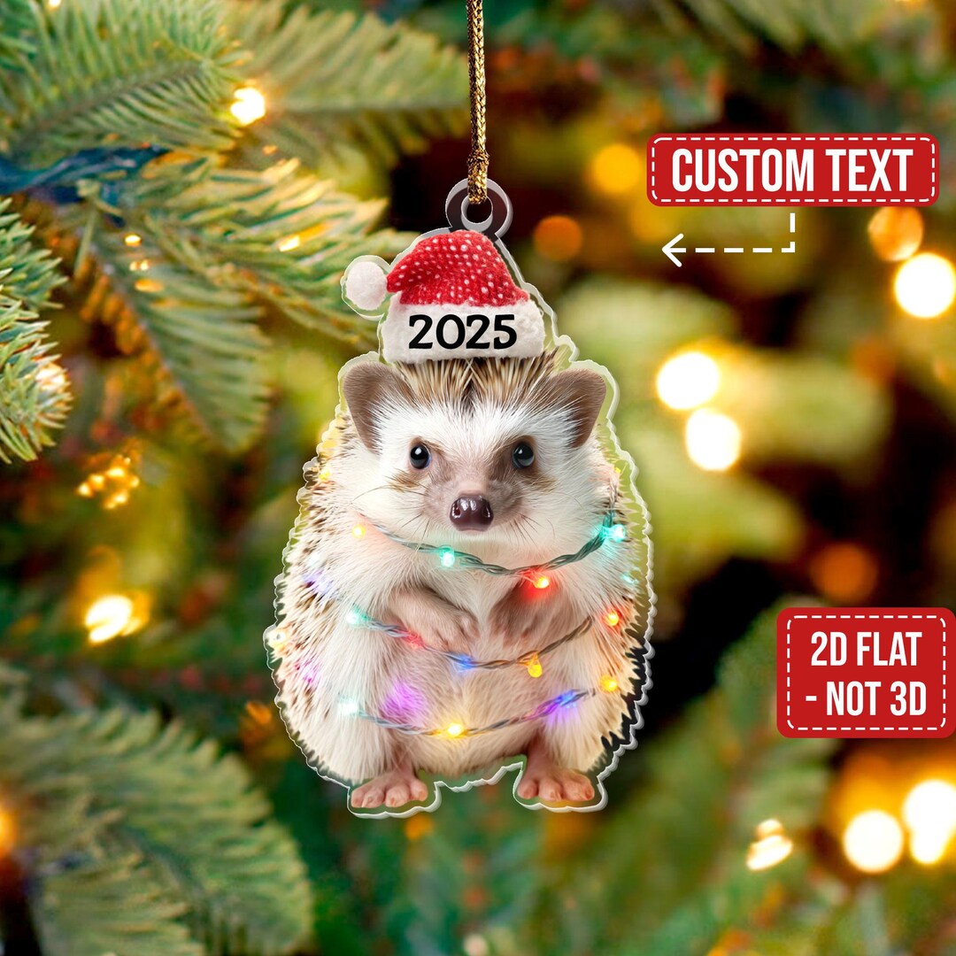 Personalized Baby Hedgehog Christmas Ornament 2025, Custom Name Cute ...
