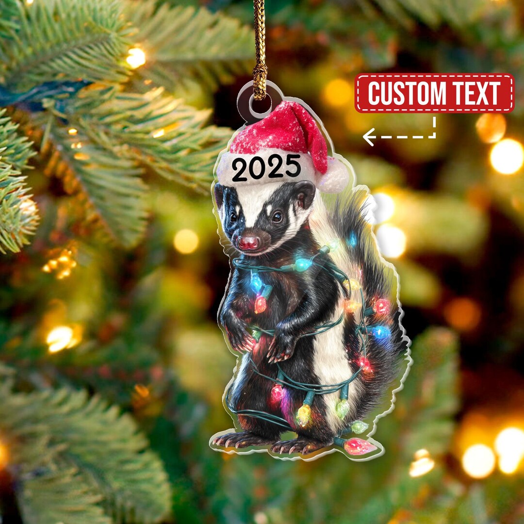 Personalized Santa Skunk Ornament, Custom Christmas Skunk Decor 2025 ...