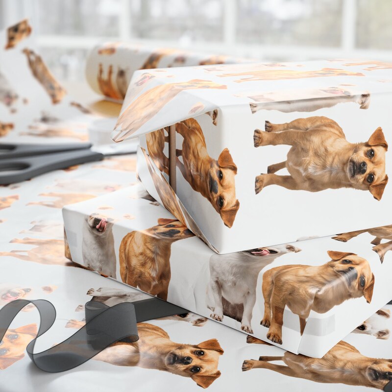 Funny Wrapping Paper - Etsy