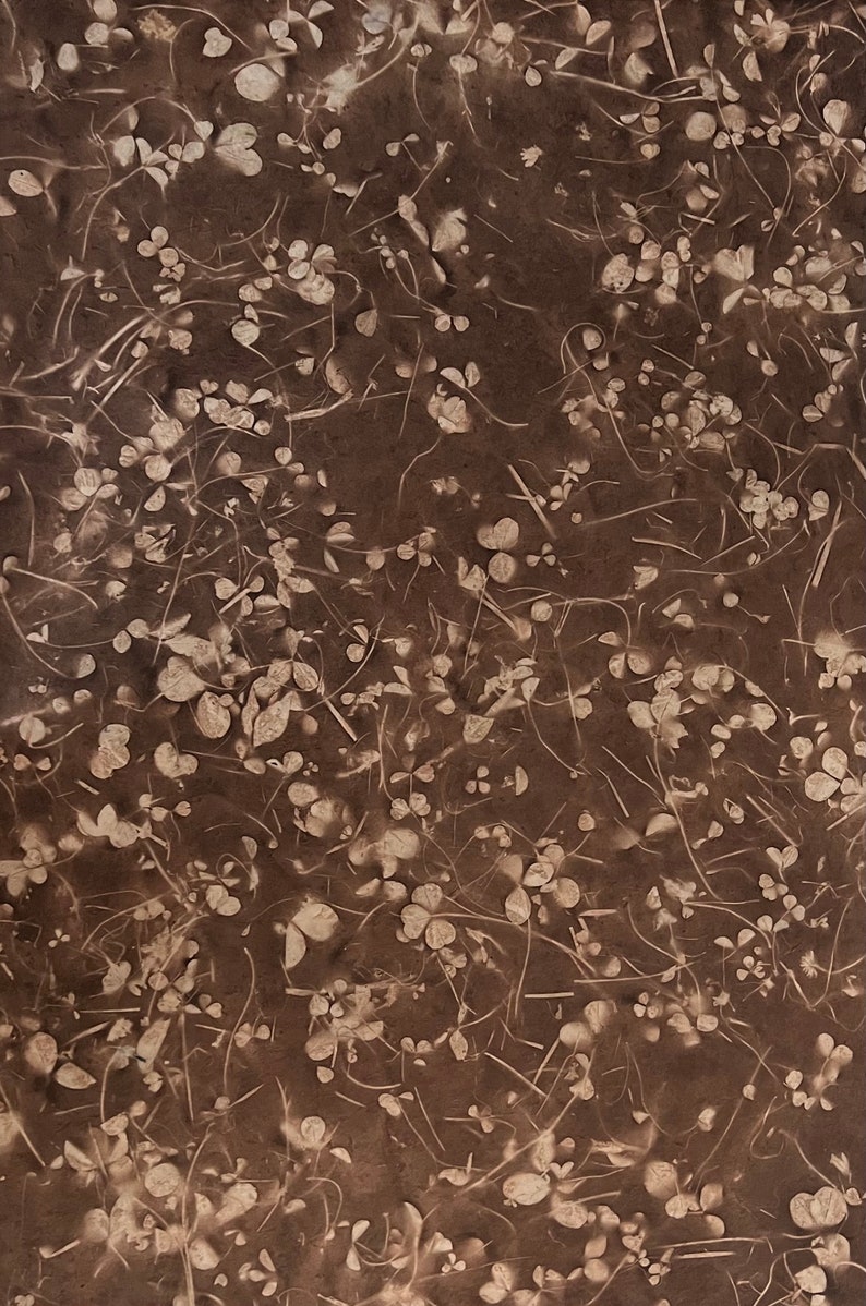 Decorative Floral Paper, Handmade Paper, Sun Dyed Light Natural Brown ...