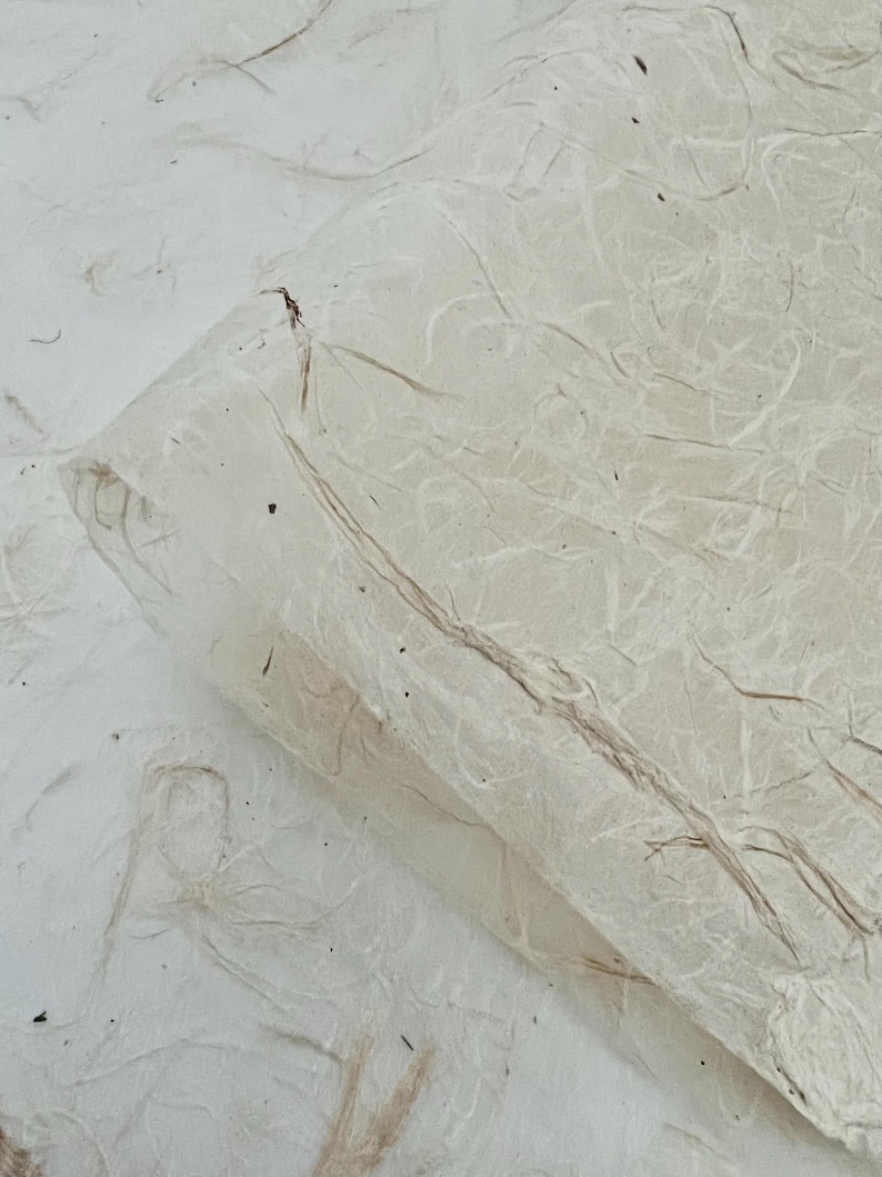 FINE FIBER PAPER, Wrapping Paper, Gift Wrap, Tree Free, Organic ...