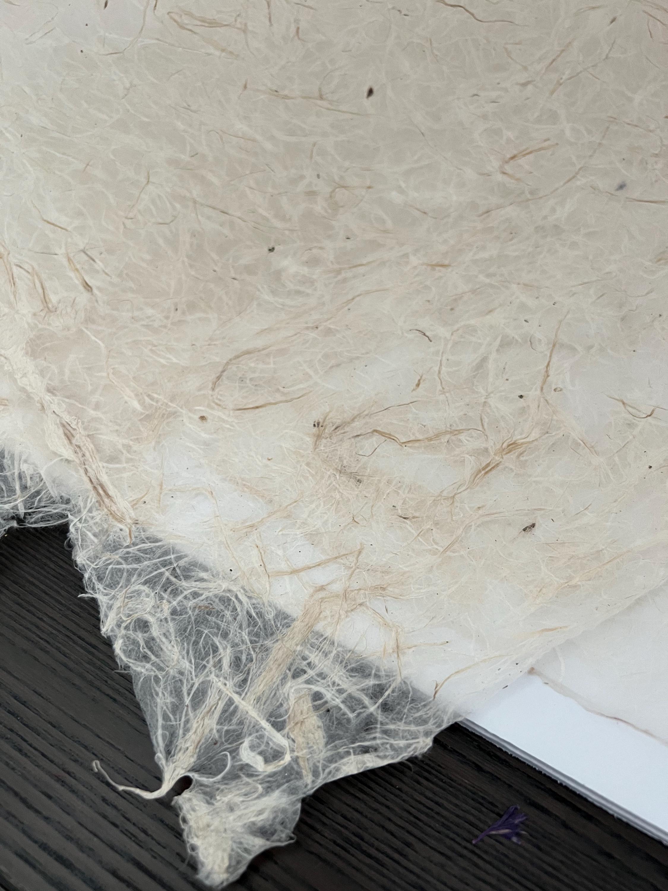 FINE FIBER PAPER, Wrapping Paper, Gift Wrap, Tree Free, Organic ...