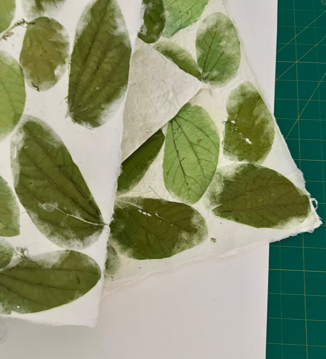 Mulberry Flower Paper Sheet, Handmade Decorative Paper, Handmade Paper ...