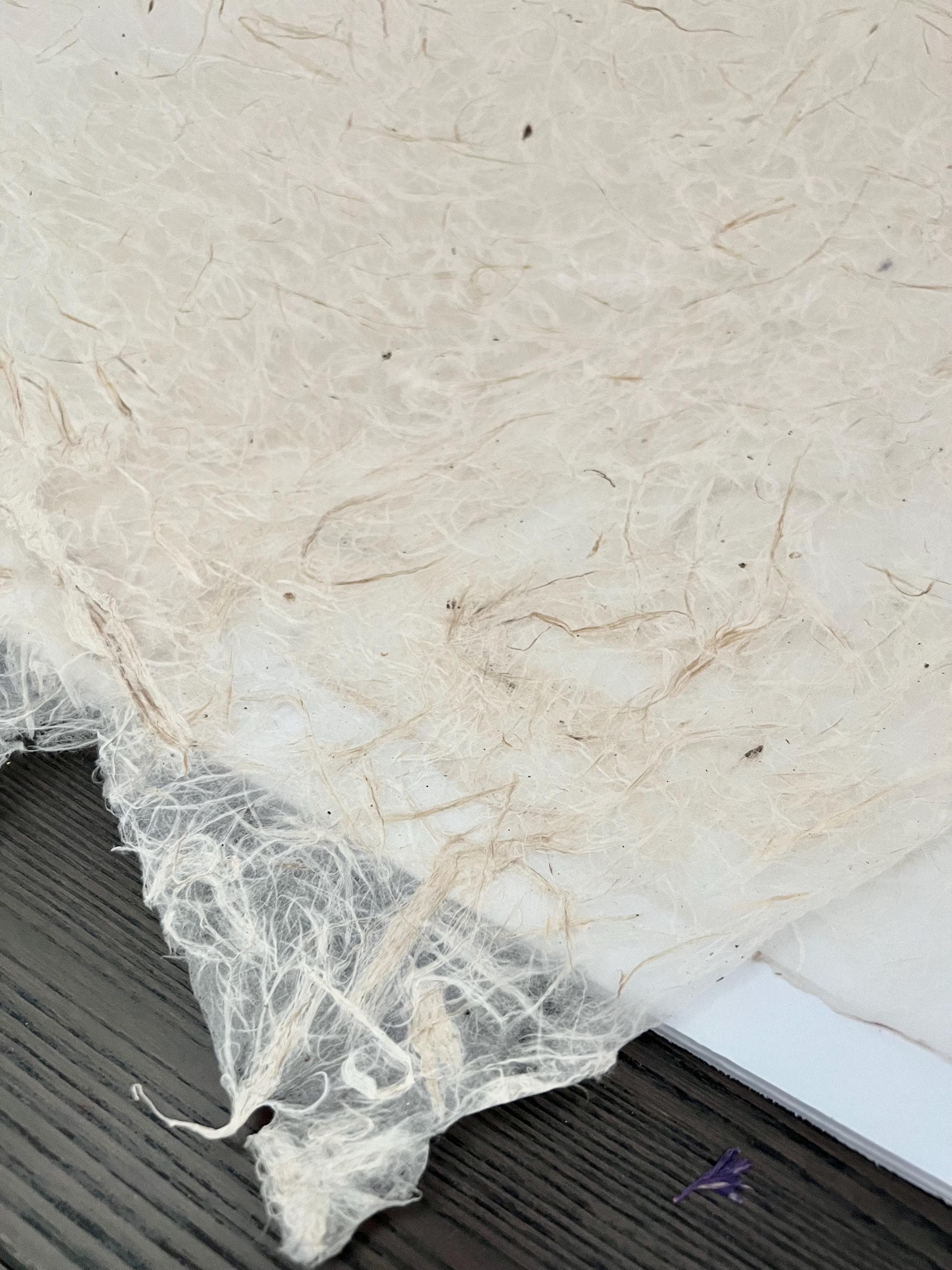 FINE FIBER PAPER, Wrapping Paper, Gift Wrap, Tree Free, Organic ...