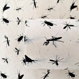 Bugs Handmade Paper, Insects Designs, Lokta Papers, Paper Bag, Wedding ...