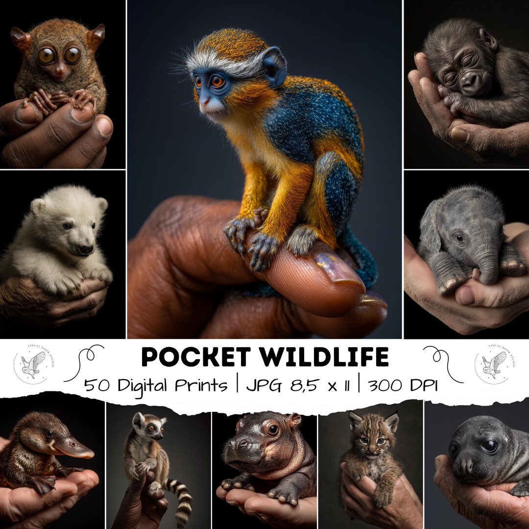 50 Tiny Animals in Hands Decor, Pop Animals Art Print, 300DPI Junk ...