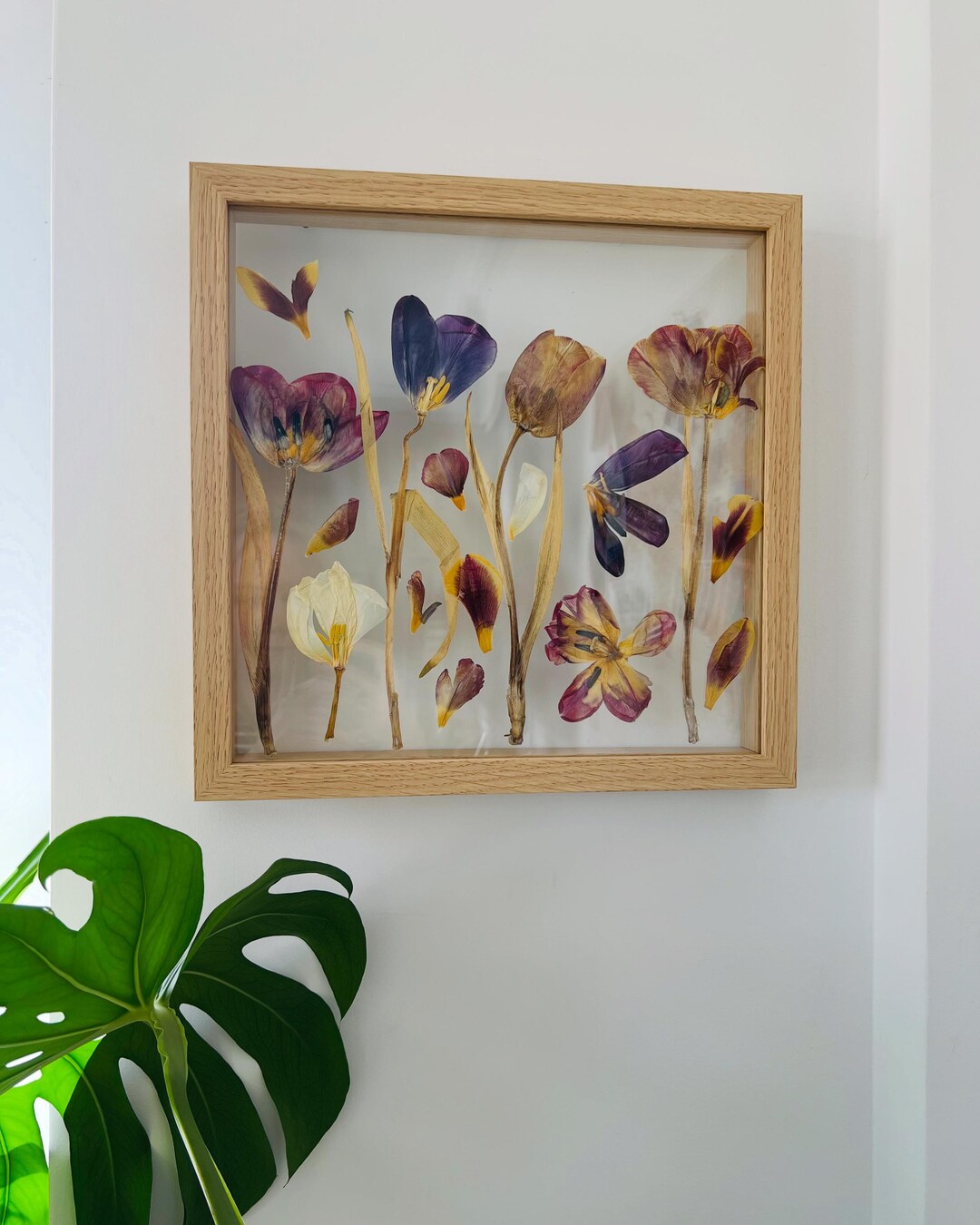 Pressed Tulips 20x20cm Frame - Etsy