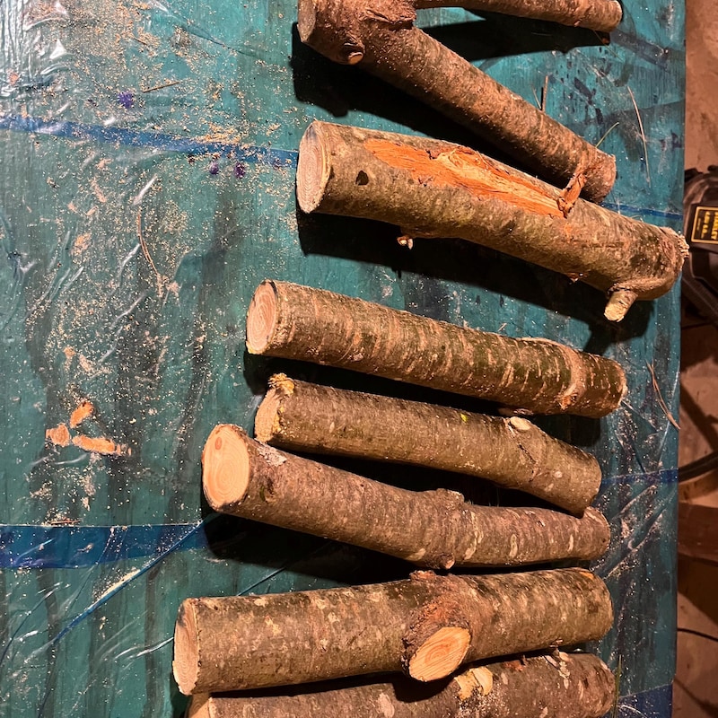 Fresh Wood Logs - Etsy