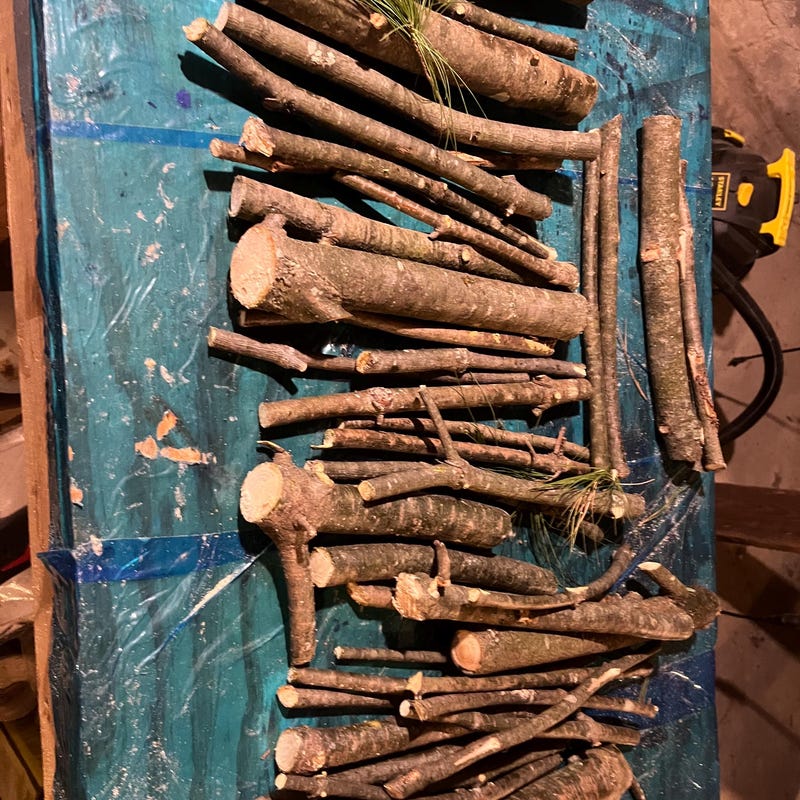 Fresh Cut Pine Branches - Etsy