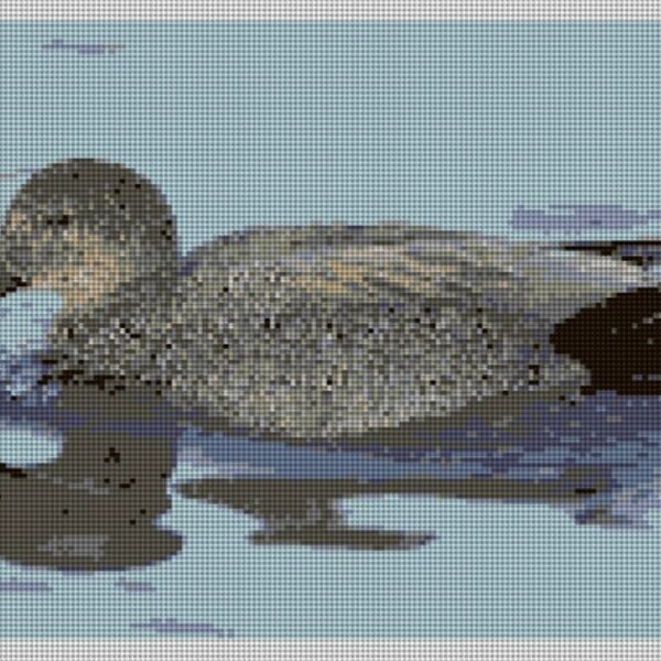 Duck Needlepoint - Etsy