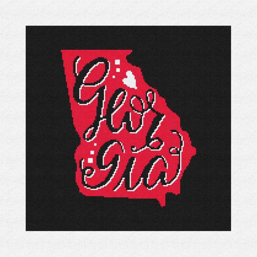 Georgia Needlepoint Pillow DIY Kit - Etsy