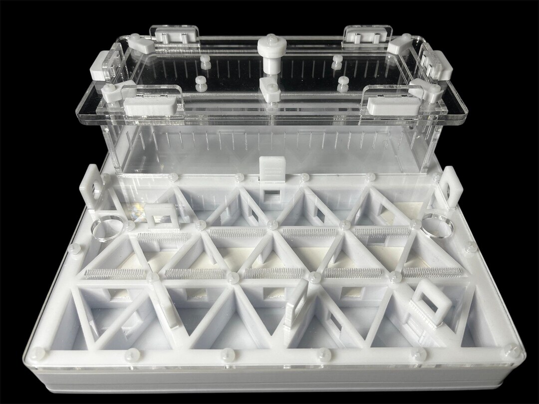 White Triangle Ant Farm Formicarium 200x200x80mm With Self Watering ...