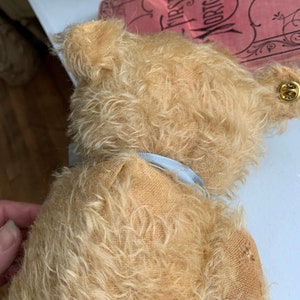 This Vintage Jointed Mohair Oz Matilda Bear Came All the Way From ...