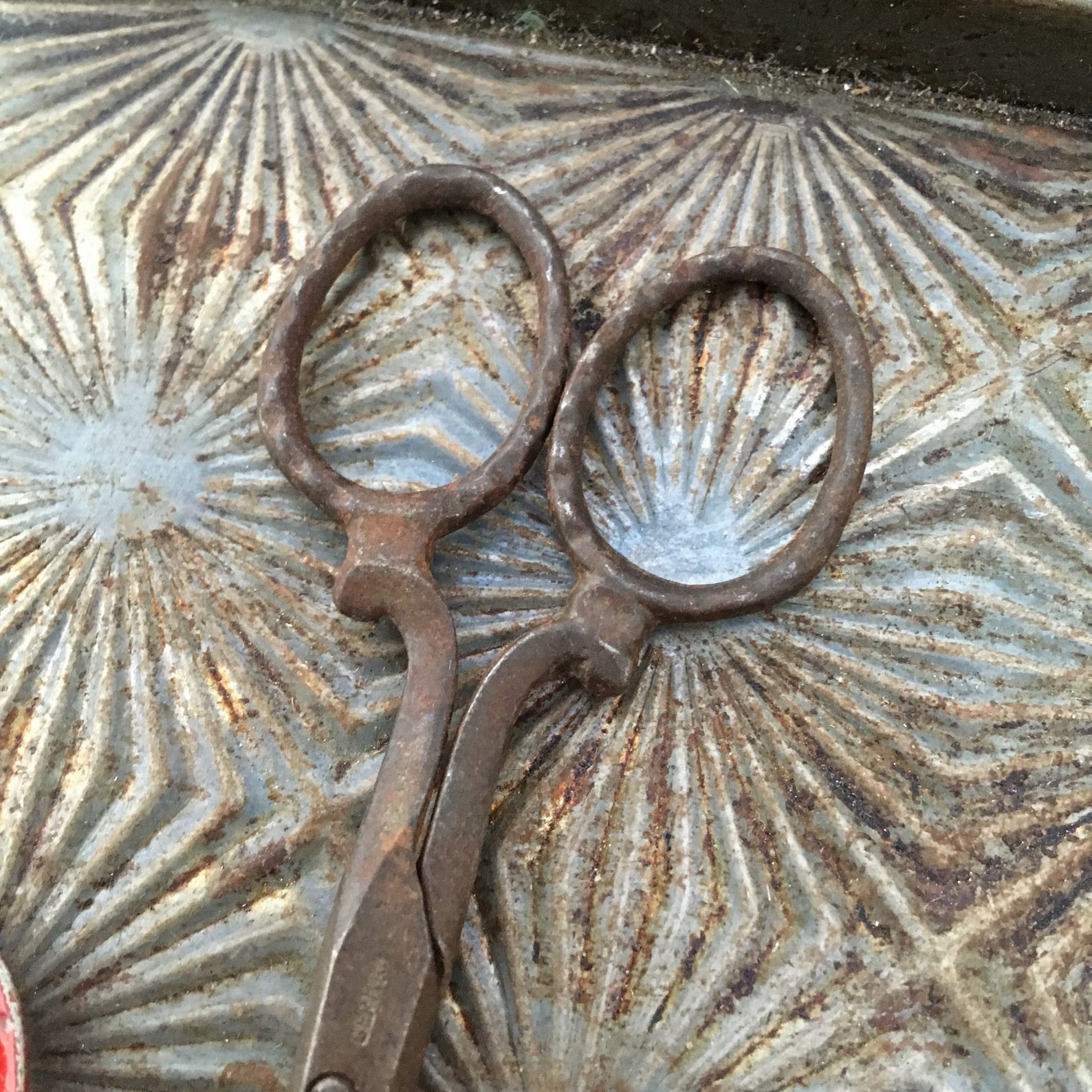 4 Inches of Wow the Evolution of Antique & Vintage Scissors | Etsy