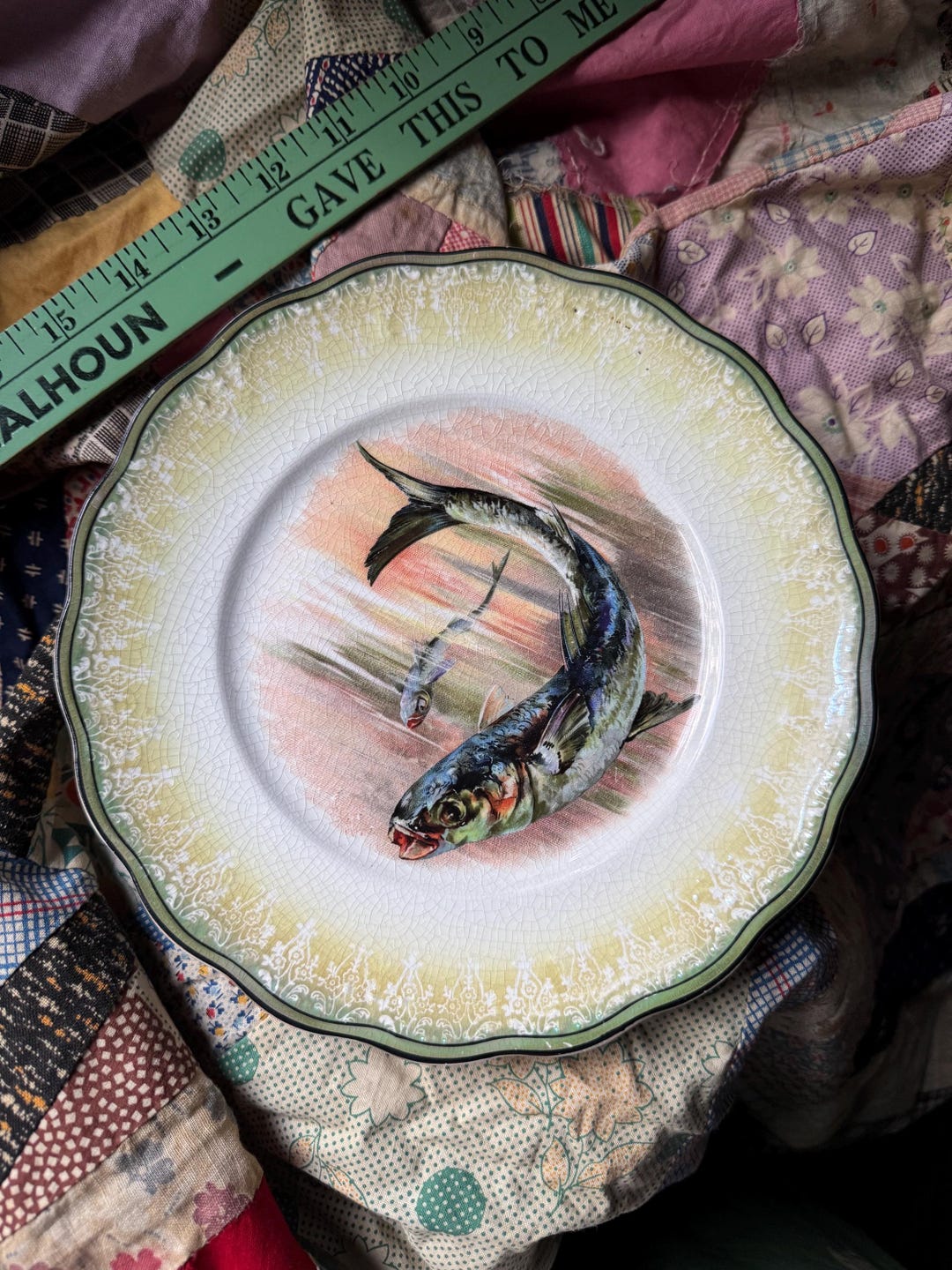 Me Be Start A Bizarre and Fabulous Fish Plate Collection - Etsy