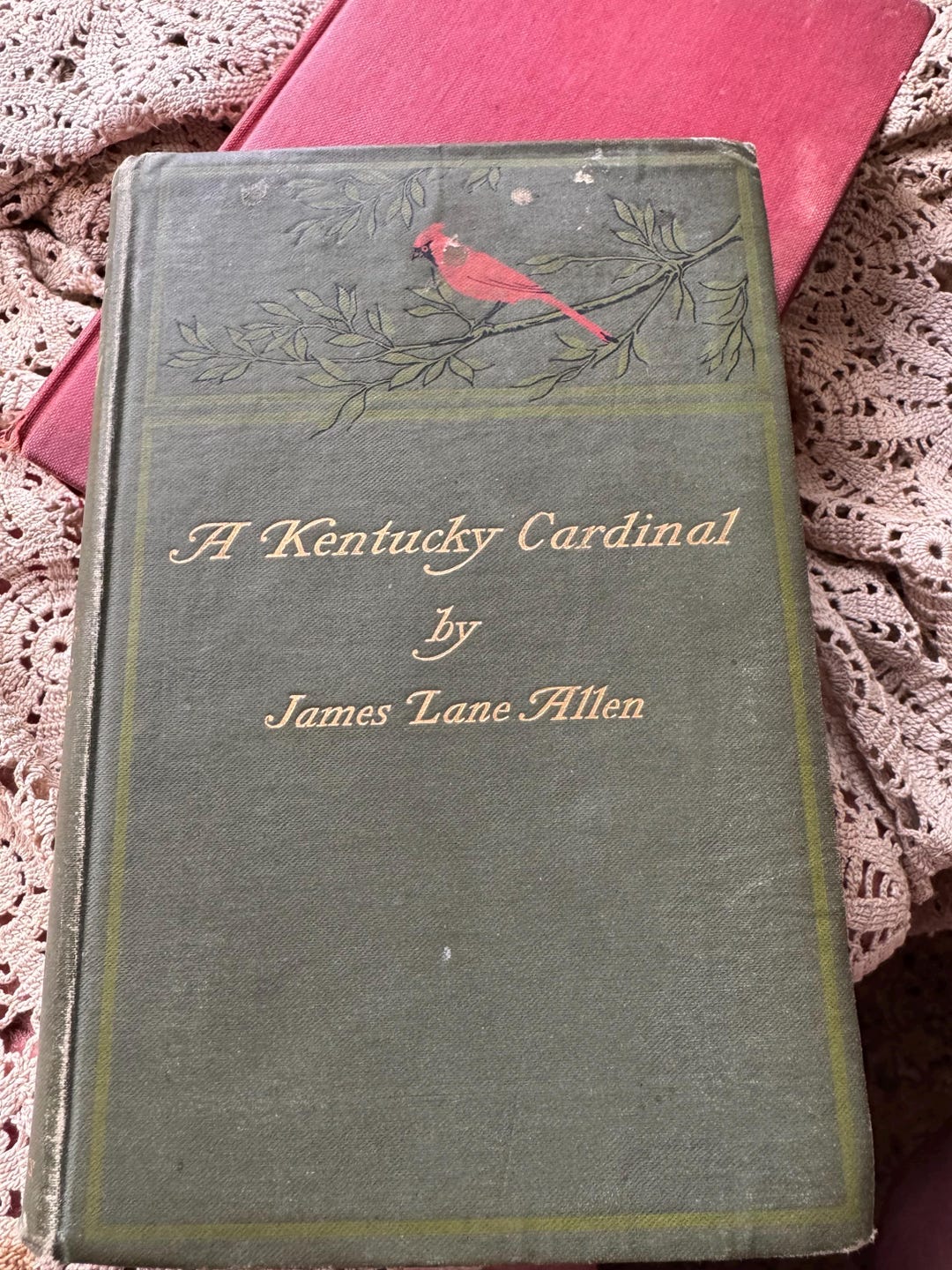 1899 A Kentucky Cardinal by James Lane Allen I Just Liked the Shabby ...