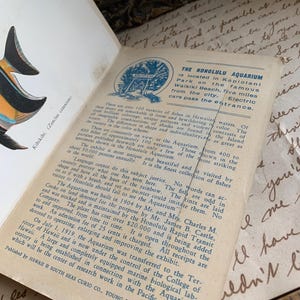 Oh What A Delight Vintage Fishes of Hawaii Ephemera Pack - Etsy