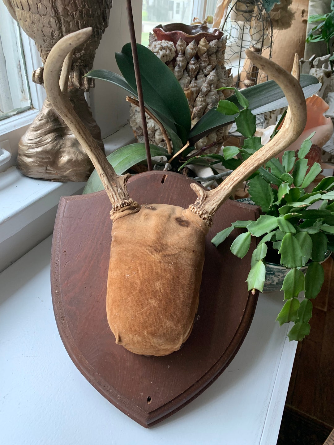 Vintage Worn Studded Velvet and Antlers What Could Be Better - Etsy