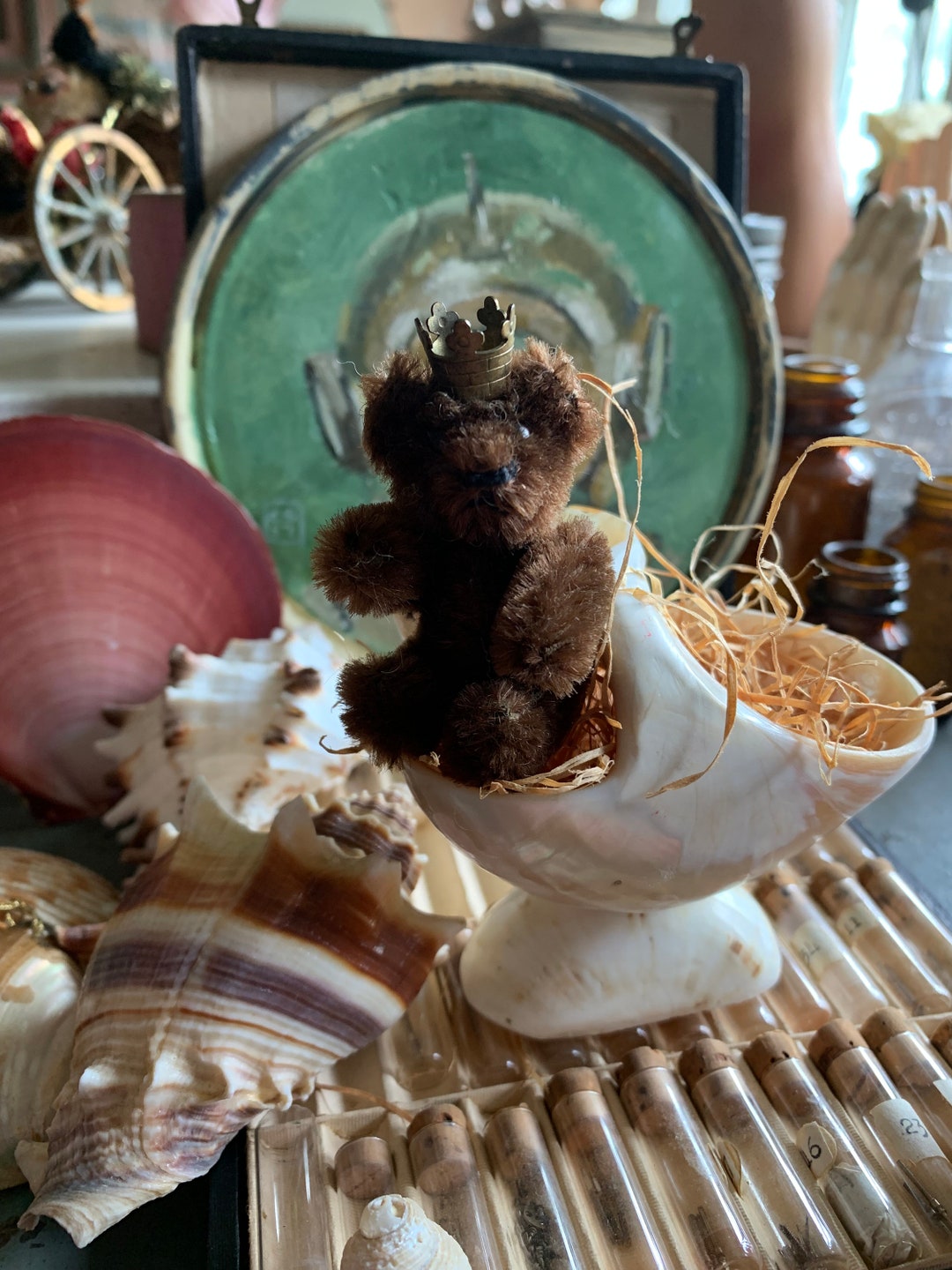 Rare Schuco Miniature Tiny Piccolo Bear With Crown and Dark - Etsy