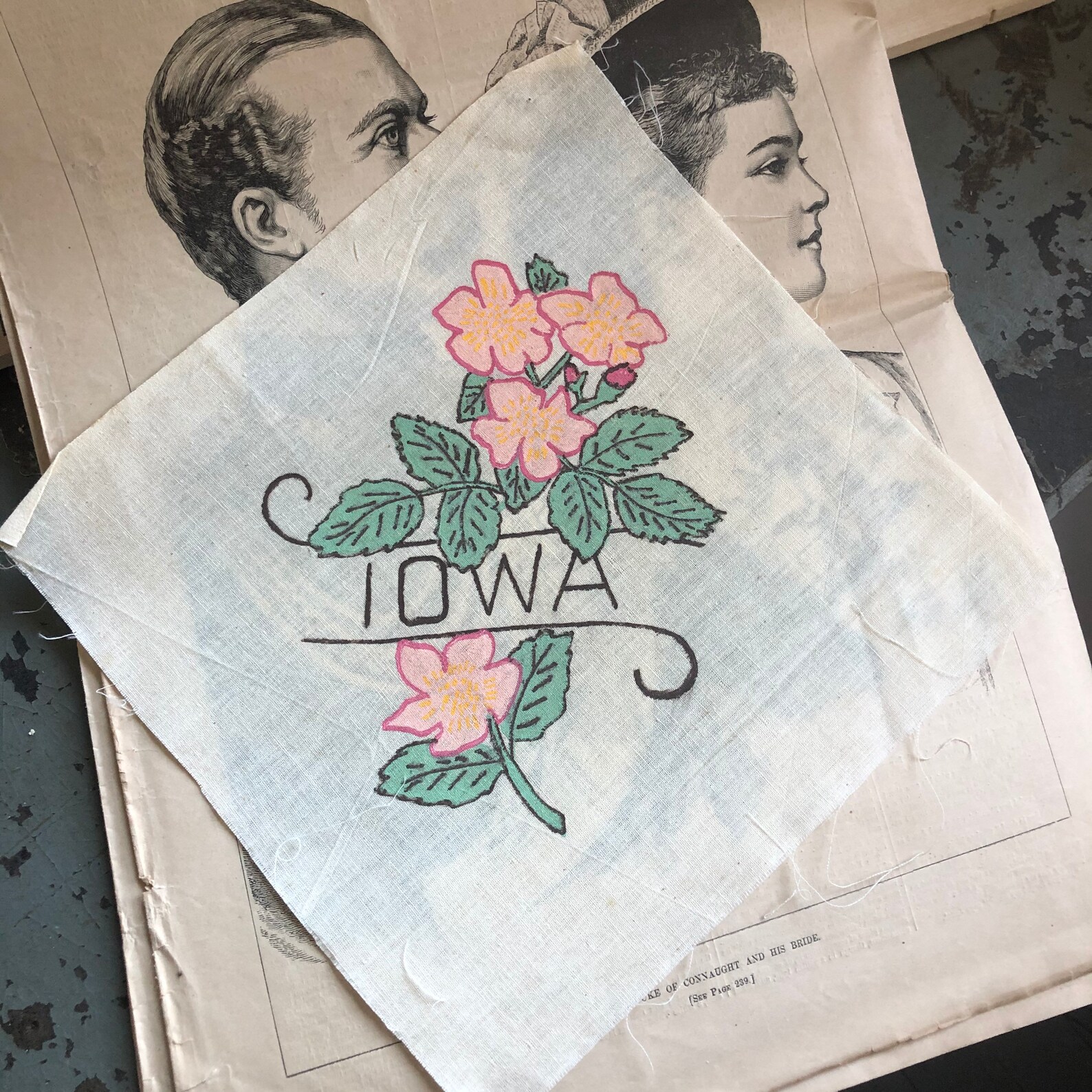 Frame It or Finish It Vintage Iowa State Flower Quilt Piece - Etsy