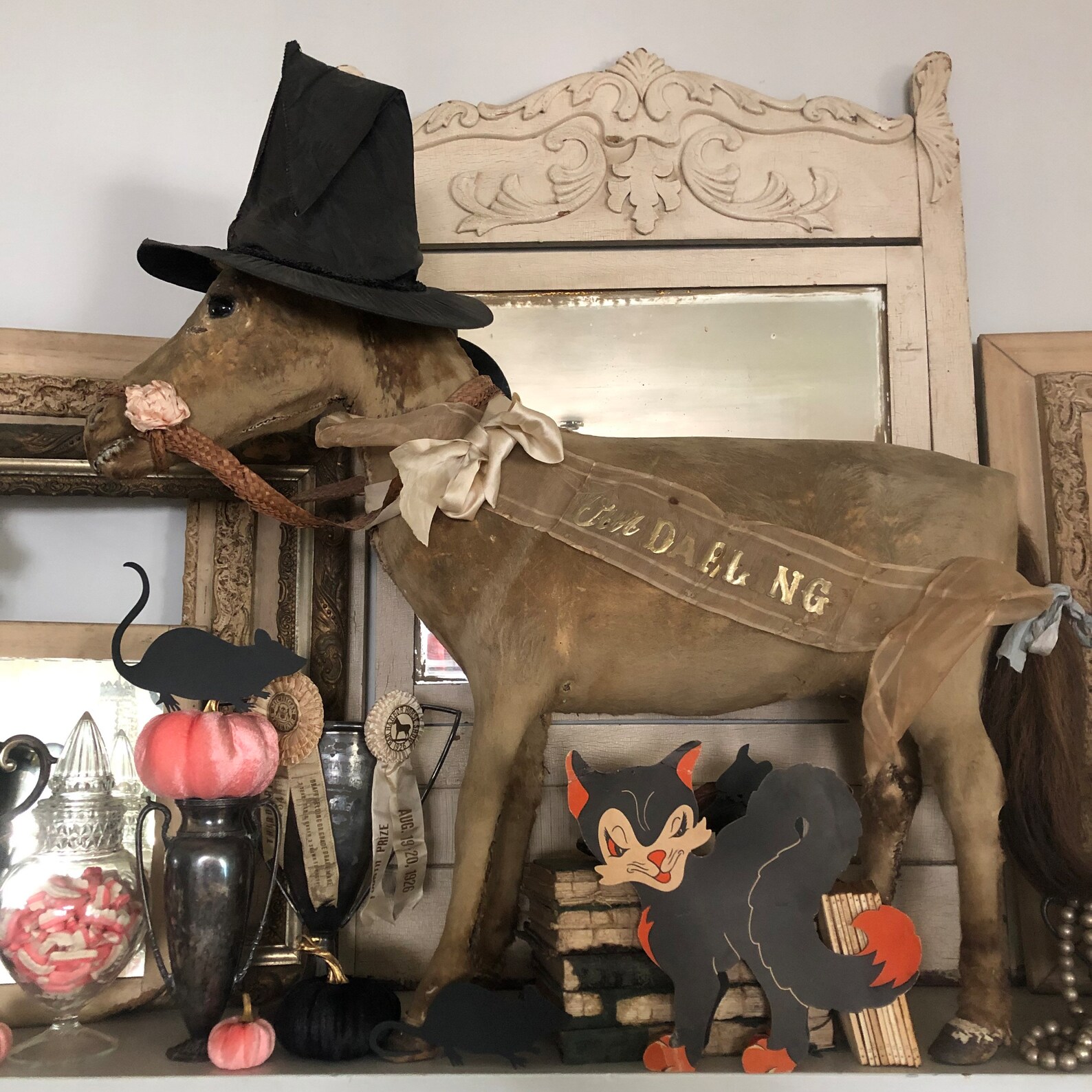 He Looks A Little Ratty Tat Vintage Halloween Black Cat - Etsy