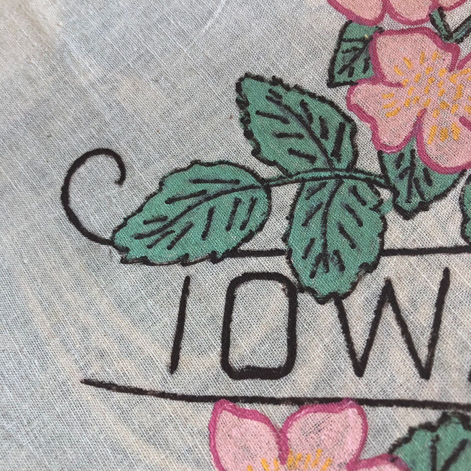 Frame It or Finish It Vintage Iowa State Flower Quilt Piece - Etsy