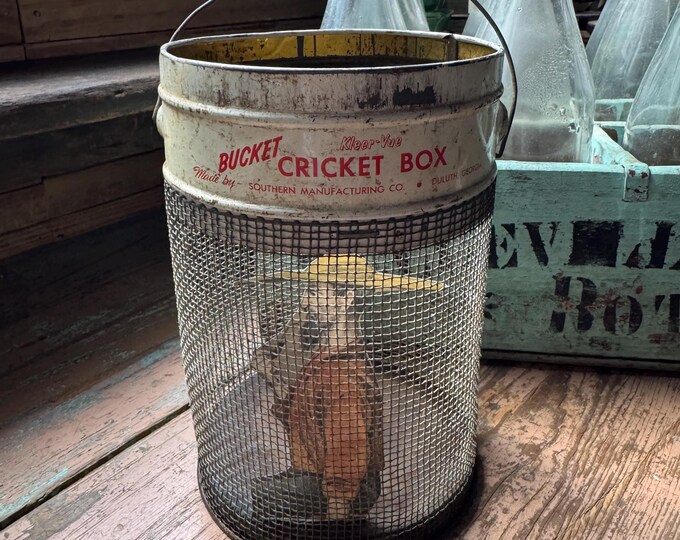 Cage Something Cool in This Vintage Klee-vue Cricket Mesh Bucket Can - Etsy